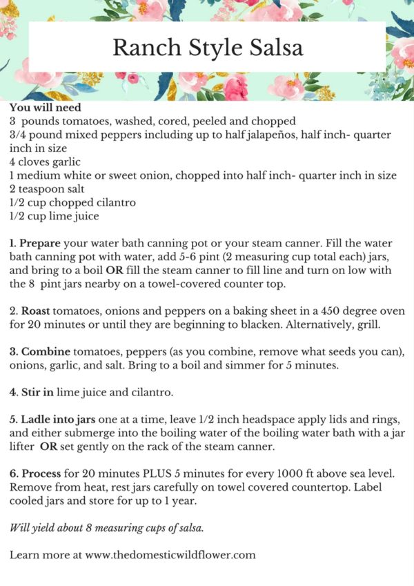 Ranch Salsa Recipe - Love Into Jars